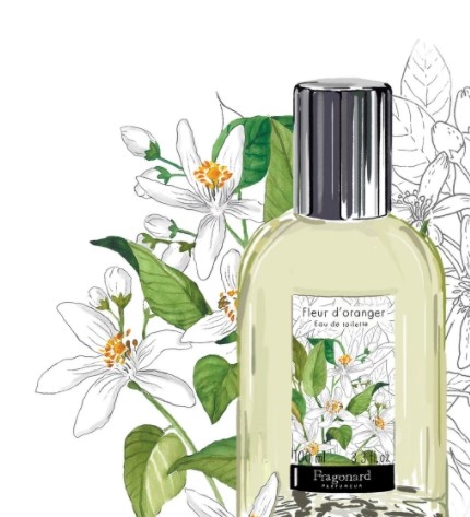 Магия флердоранжа: лучшие ароматы - читайте в блоге Aroma-Butik.ru