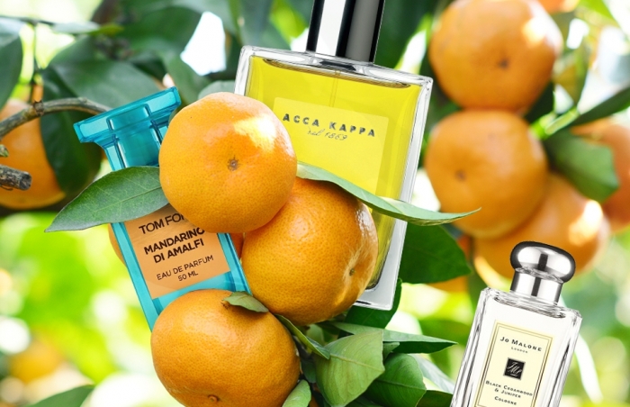 ТОП-10 цитрусовых ароматов - читайте в блоге Aroma-Butik.ru