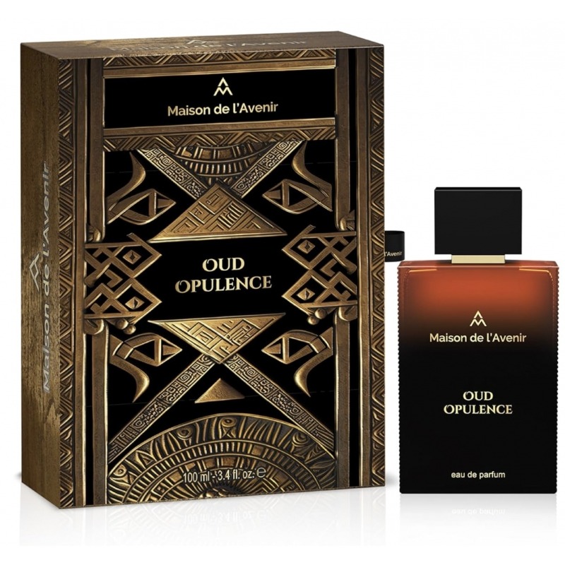 Maison de l Avenir Oud Opulence - купить духи, цены от 6110 р. за 100 мл